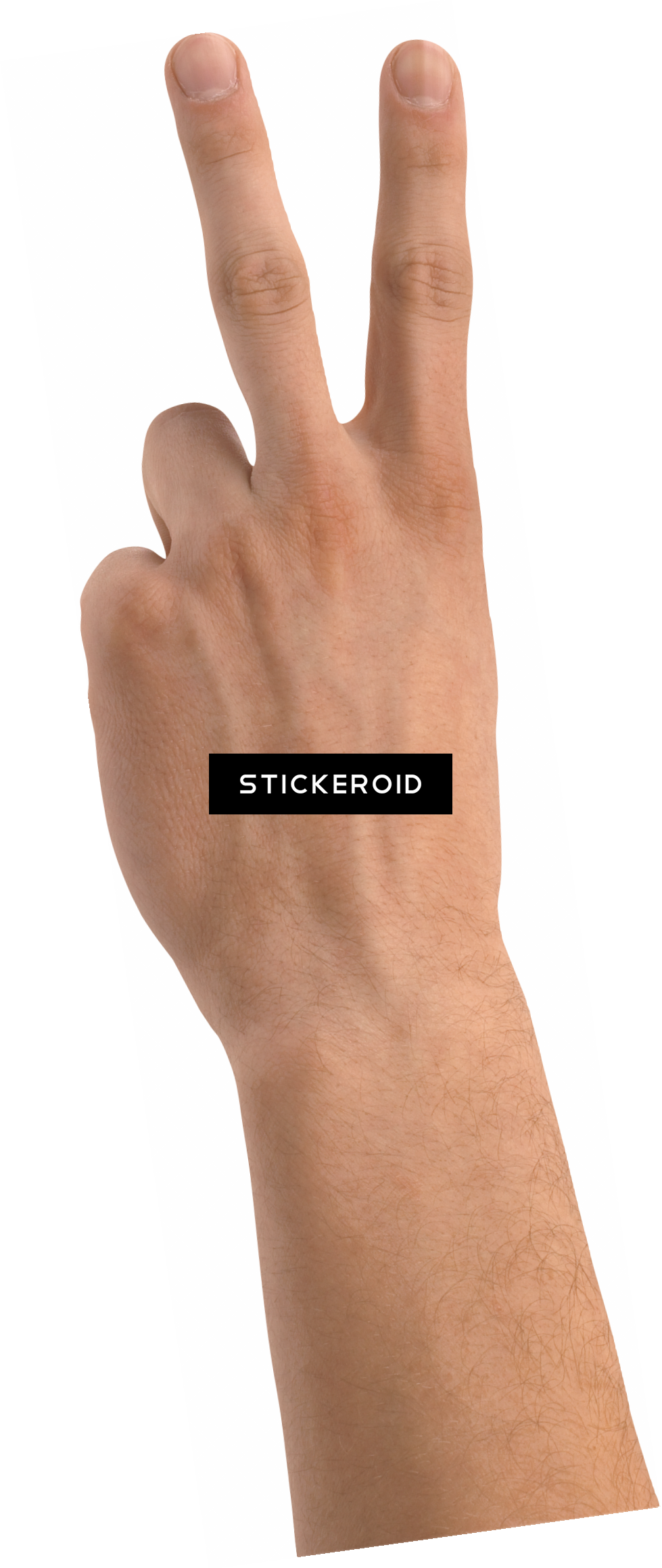 Download Hands Hand - Sign - Full Size PNG Image - PNGkit