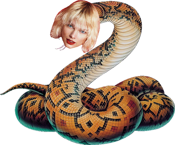 Download Snake - Snake Png - Full Size PNG Image - PNGkit