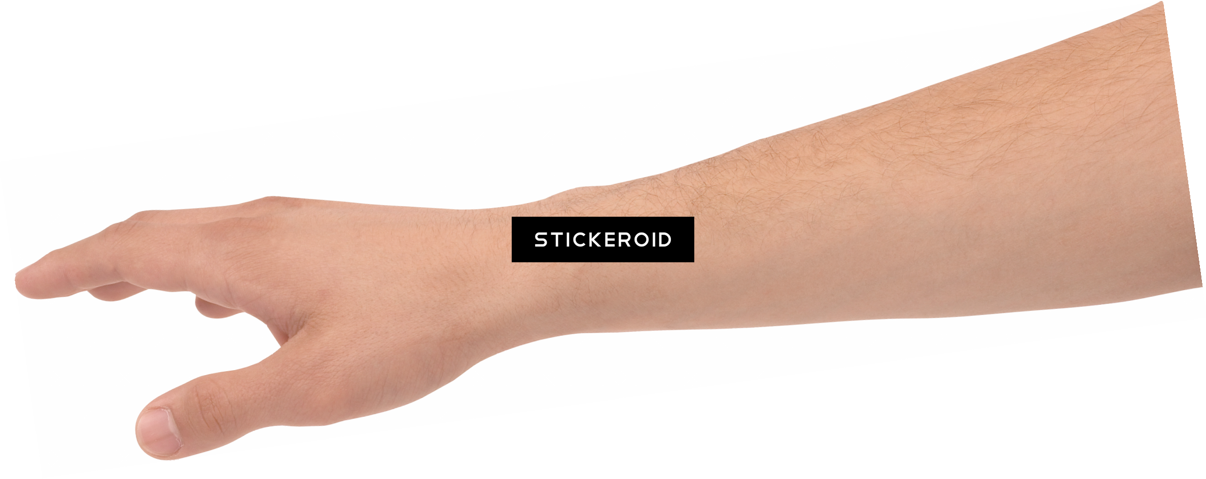 Download Hands Hand - Heel - Full Size PNG Image - PNGkit