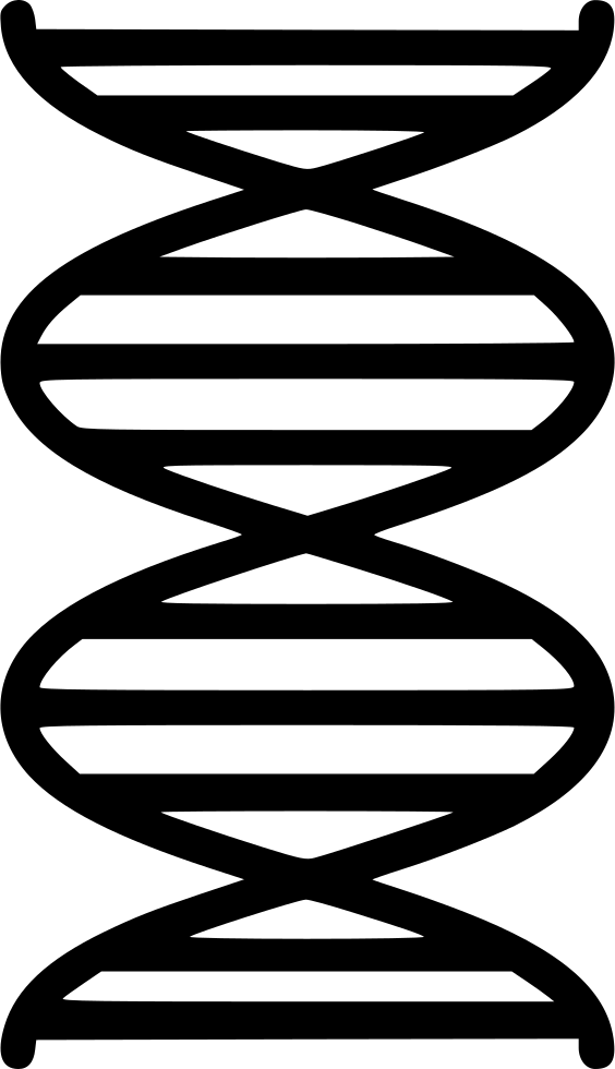 Download Png File Svg - Full Size PNG Image - PNGkit