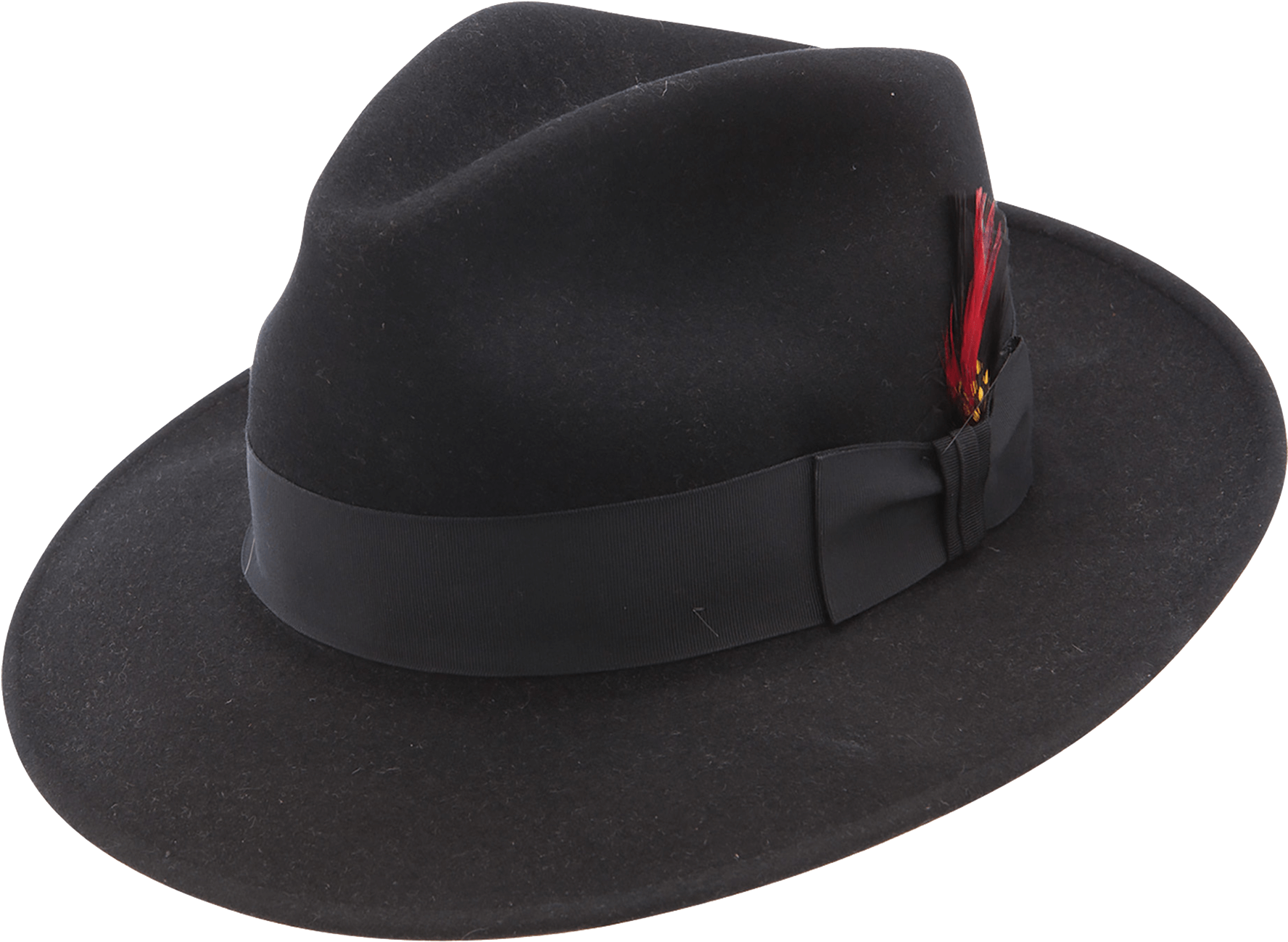 Download Fedora - Full Size PNG Image - PNGkit