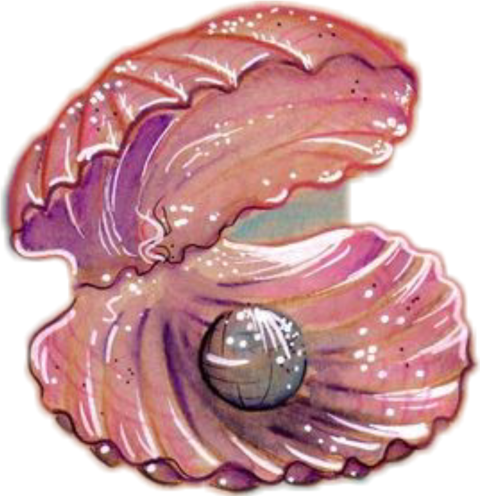 Download Shell Sea Pearl Seashell Ocean Pink - Tattoo - Full Size PNG ...