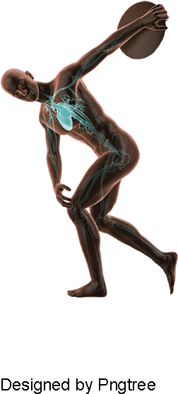 Download Human Muscle Tissue, Medical Action, Medical, Male - Human ...