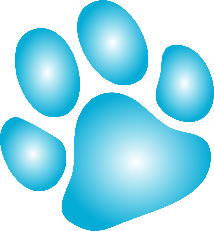 Download Next - Full Size PNG Image - PNGkit