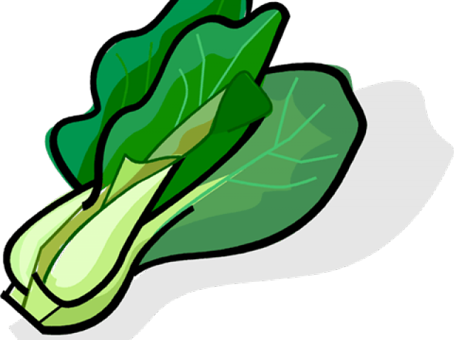 Download Vektor Sawi Png - Full Size PNG Image - PNGkit