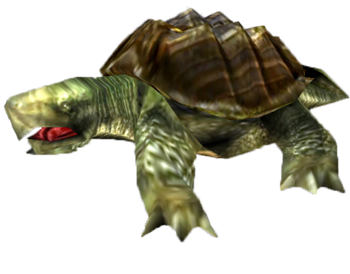 Download Snapping Turtle Png Transparent Images - Turtle - Full Size ...
