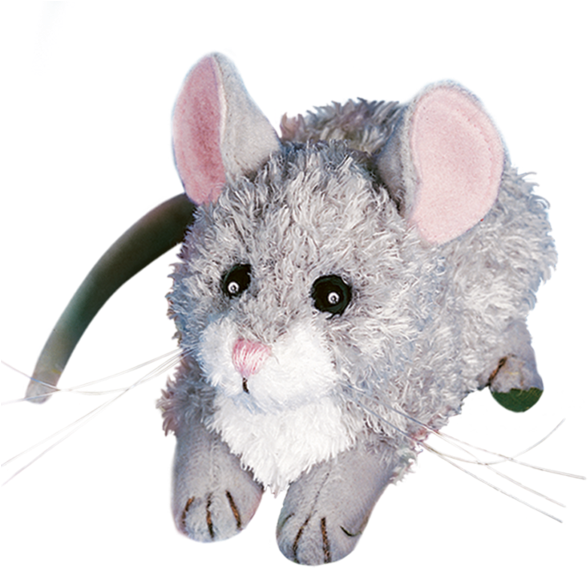Download Kernel The Mouse - Full Size PNG Image - PNGkit