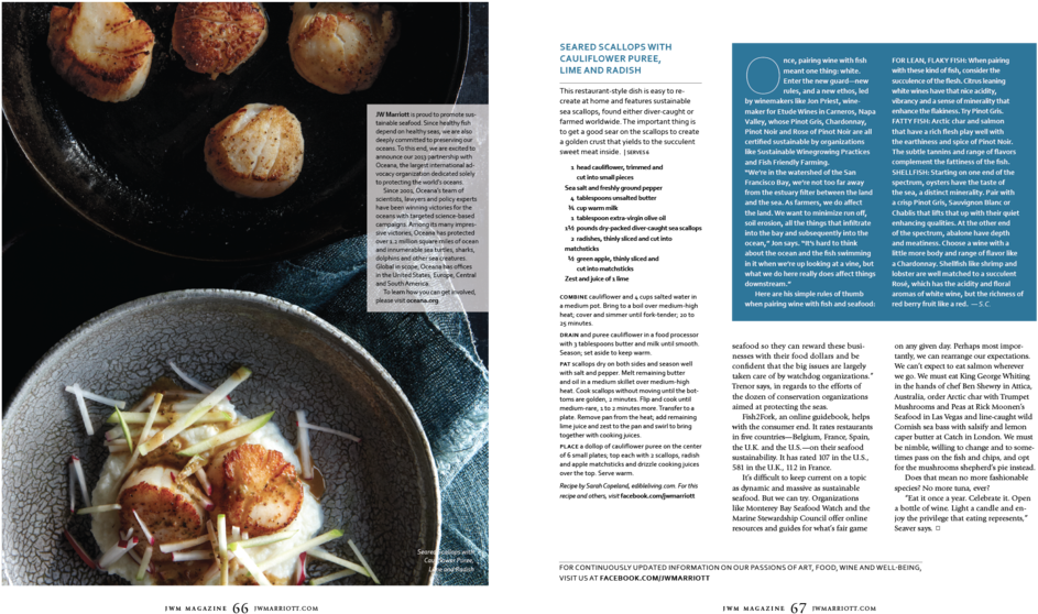 Download Go Fish 3 01 - Piece - Full Size PNG Image - PNGkit