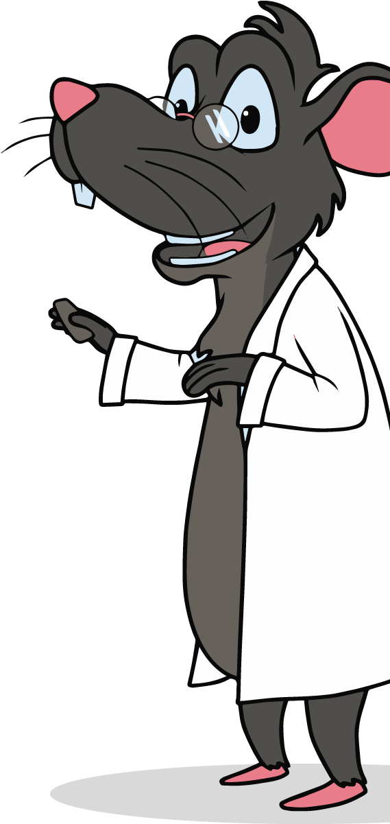 Download Lab Rat - Rat - Full Size PNG Image - PNGkit