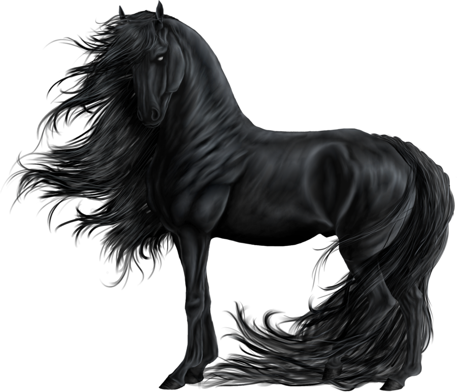 Download Emporer By Wild Catt - Horse Devil - Full Size PNG Image - PNGkit