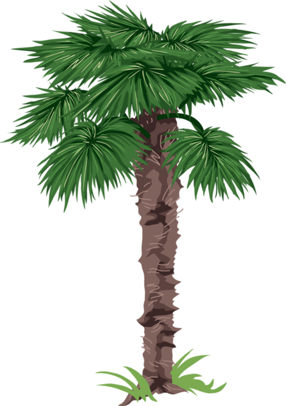 Download Tube Arbre,png - Sabal Palm Clipart Png - Full Size PNG Image ...