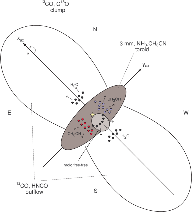 Download Schematic Cartoon Of The Main Components In The Molecular ...