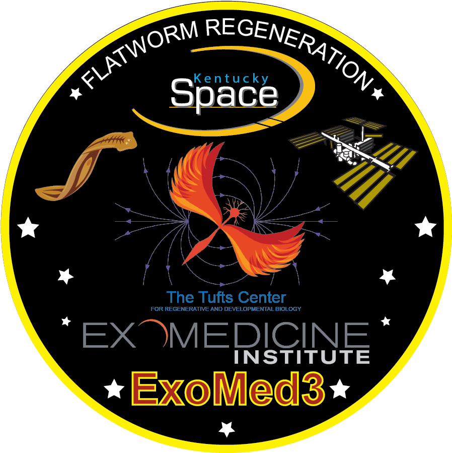 Download Mission Patch - Flatworm - Full Size PNG Image - PNGkit