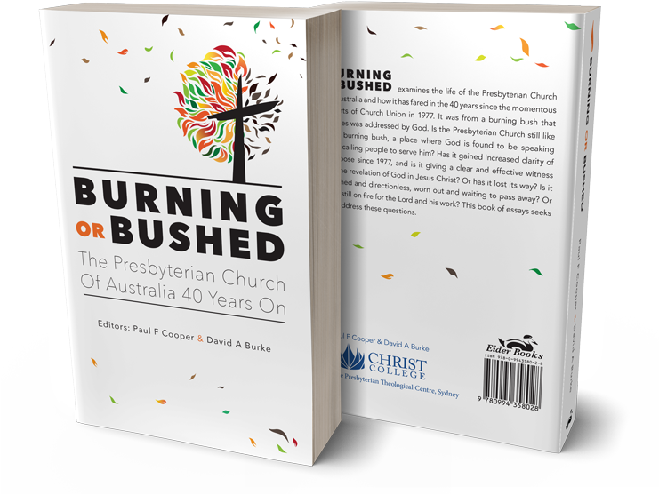 Download Burning Or Bushed Examines The Life Of The Presbyterian ...