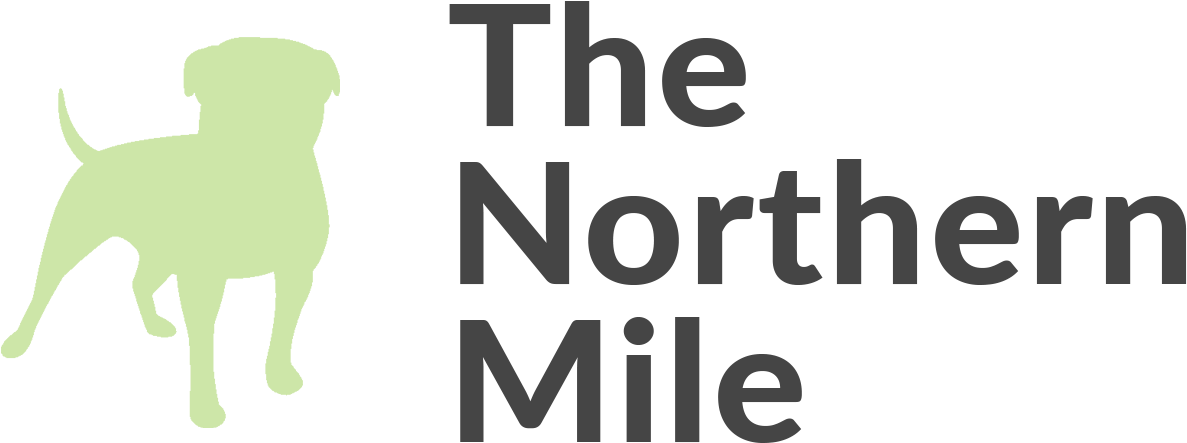 Download Logo - Weather Company Logo - Full Size PNG Image - PNGkit