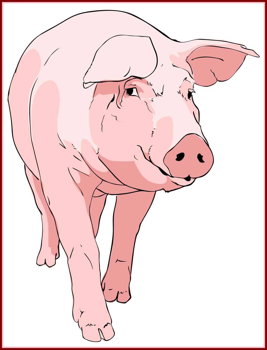 Download Unbelievable Ingenious Clip Art Pig Face With - Transparent ...