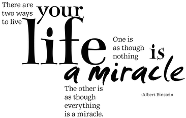 Download >life Is A Miracle - Live For Your Feelings - Full Size PNG ...