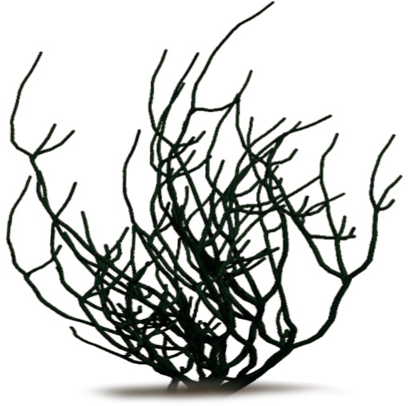 Download High Res Clip Art - Clip Art - Full Size PNG Image - PNGkit