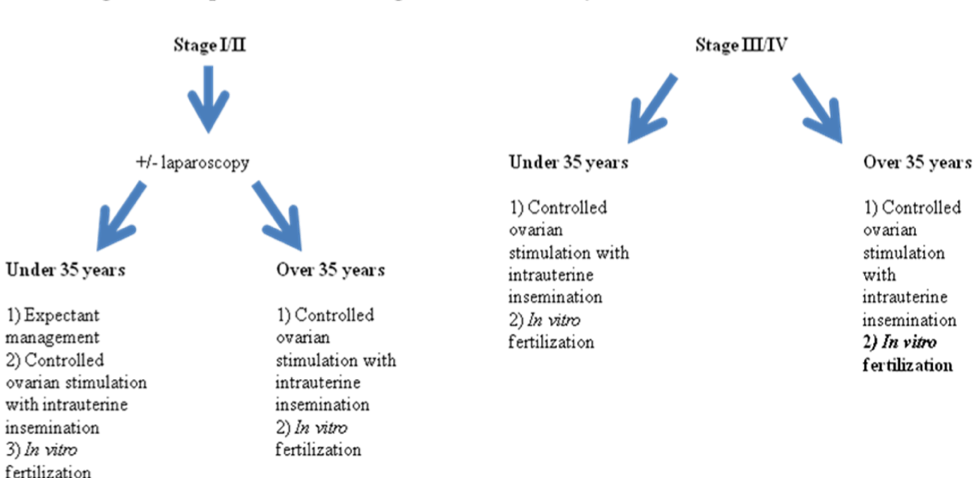 Download Treatment Algorithm For Infertility Associated With - Full ...