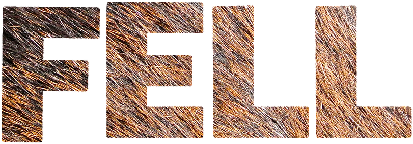 Download Fur Texture Lettering Structure Transparent Image - Texture ...