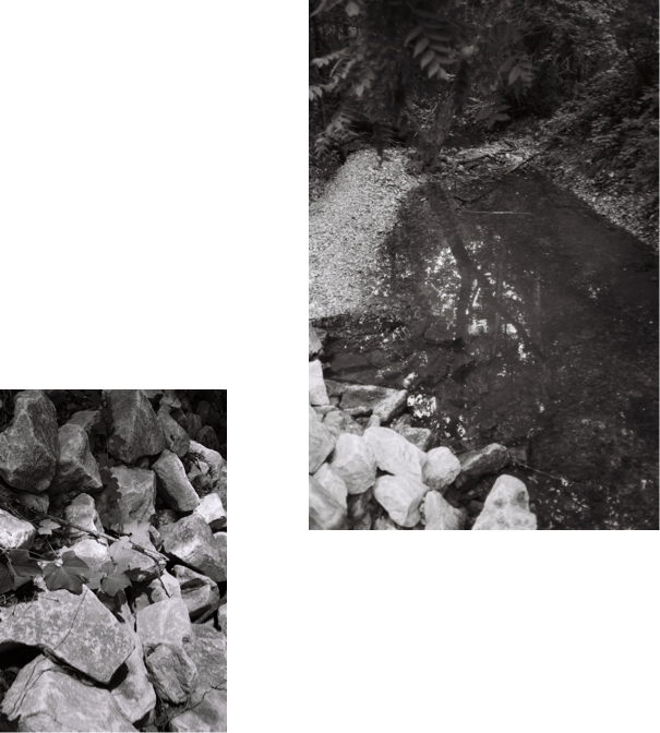 Download Q1 - Monochrome - Full Size PNG Image - PNGkit