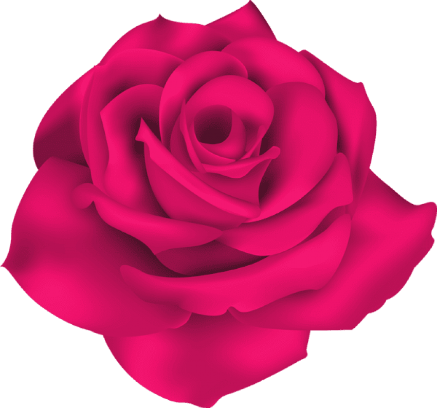 Download Free Png Single Pink Rose Png Images Transparent - وردة Png ...