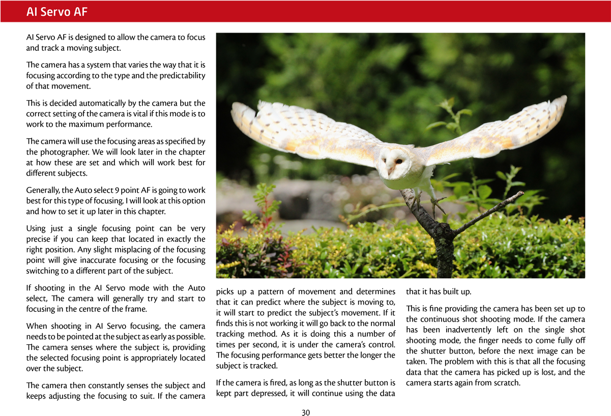 Download A Random Selection Of Pages From The Book Are Shown - Snowy ...