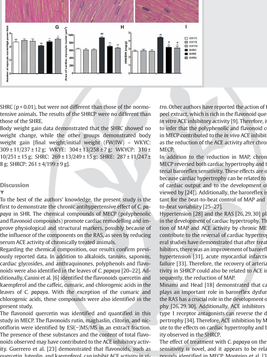 Download Histological Analysis Of The Hearts Of Shr And Wky - H&e Stain ...