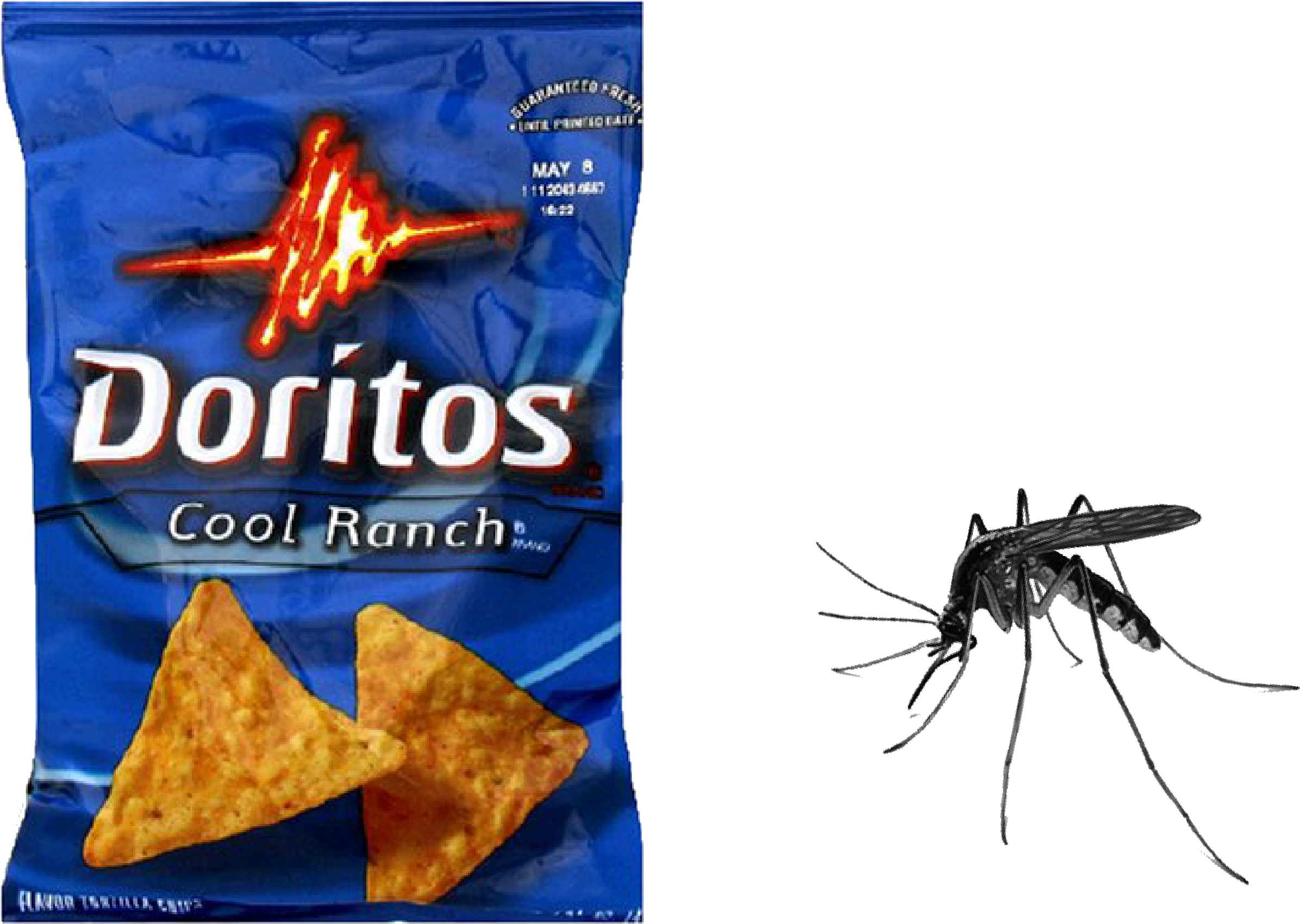 Download Doritos Cool Ranch Bag - Full Size PNG Image - PNGkit