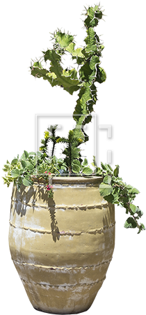 Download Parent Category - Big Plant Pot Png - Full Size PNG Image - PNGkit