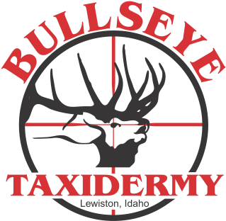 Download Bullseye - Portable Network Graphics - Full Size PNG Image ...