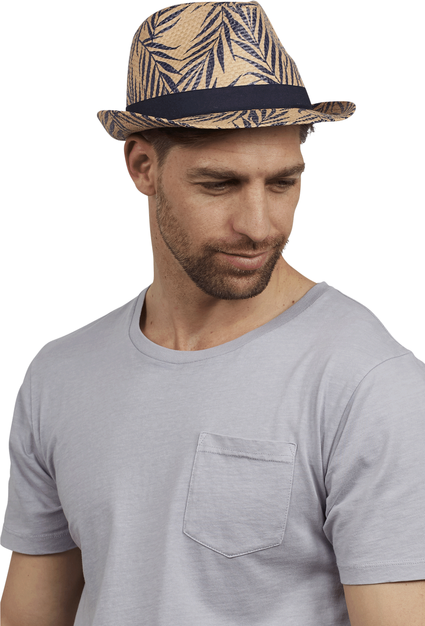 Download Trilby Png - Full Size PNG Image - PNGkit