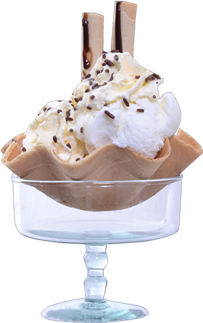 Download Concha - Full Size PNG Image - PNGkit