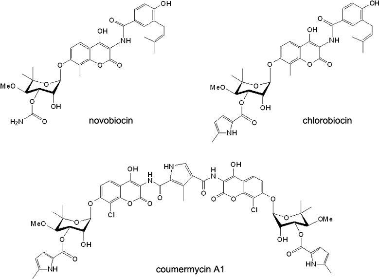 Download Structures Of Novobiocin, Chlorobiocin And Coumermycin ...