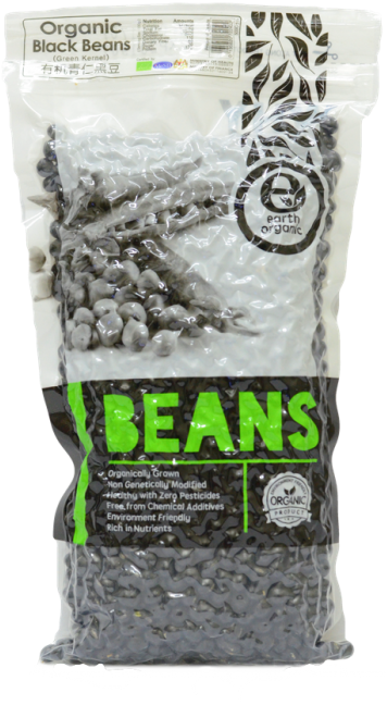 Download Bean - Full Size PNG Image - PNGkit