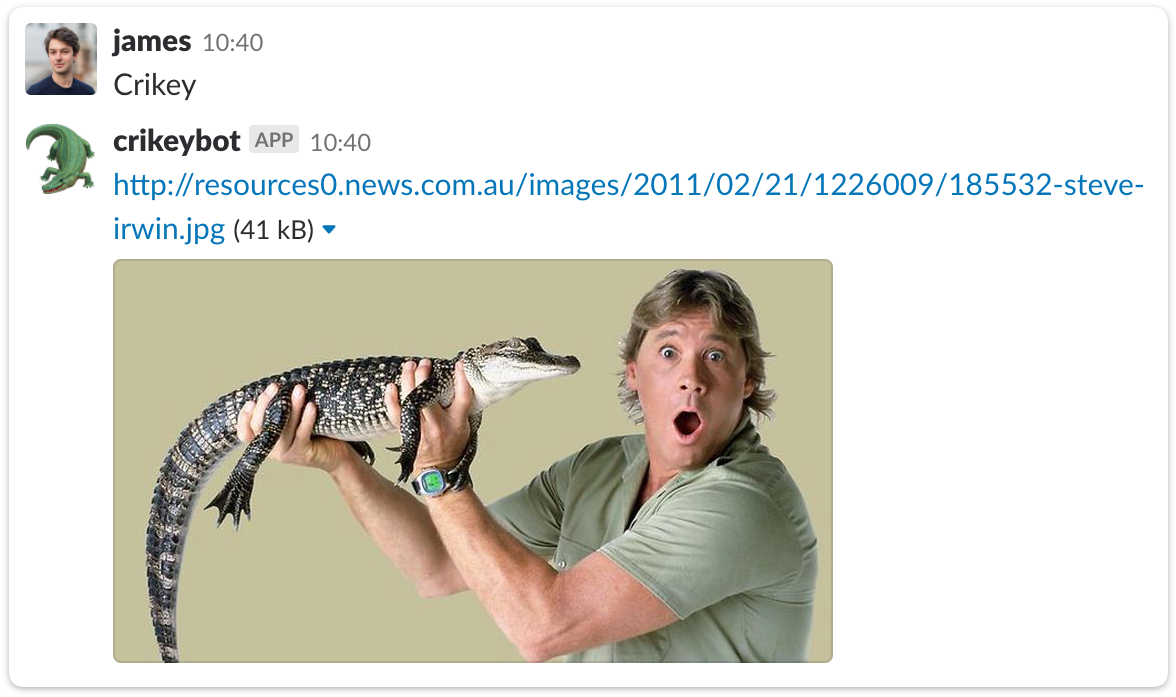 Download Crikey Slack Integration - Steve Irwin Crocodile Hunter ...
