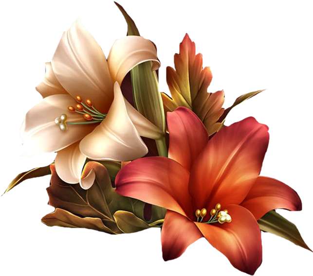 Download Clipart Black And White Download Amaryllis Drawing - Barnali Bagchi Tubes Png Scrap ...