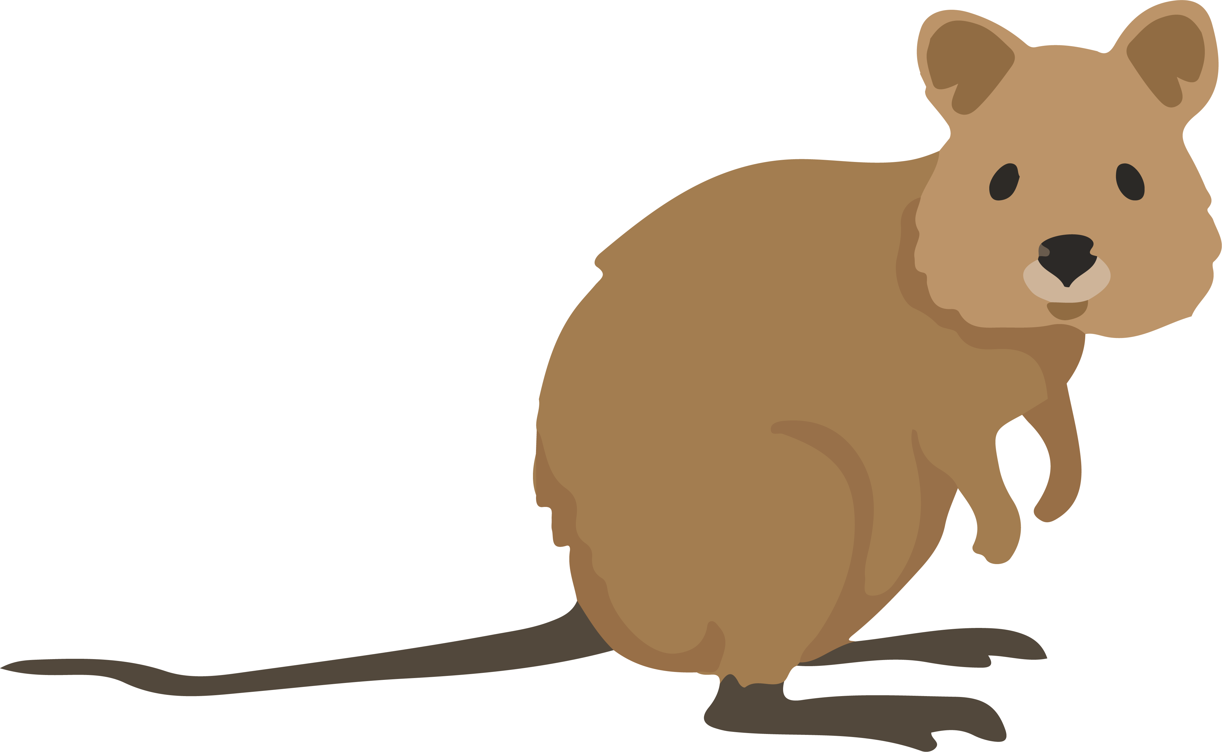 Download Quentin - - Quokka Cartoon - Full Size PNG Image - PNGkit