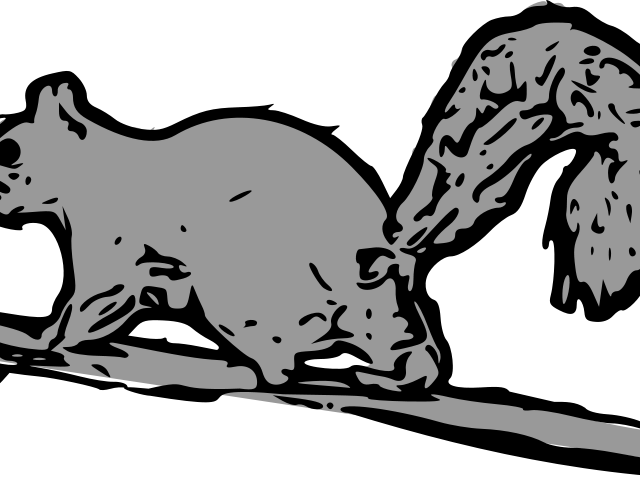 Download Gray Squirrel Clipart Cartoon - Squirrel - Full Size PNG Image ...