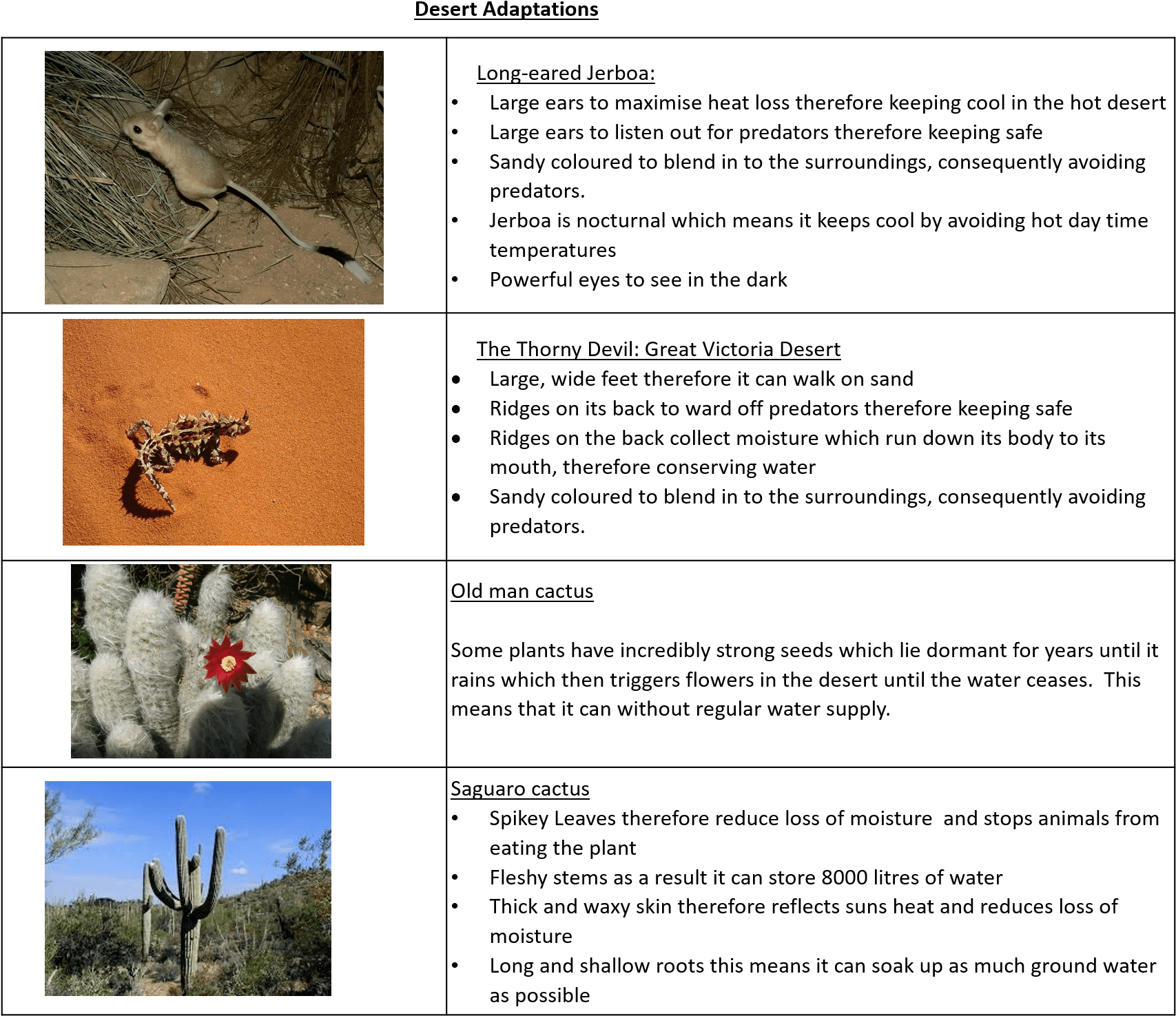 Download Portable Network Graphics - Full Size PNG Image - PNGkit