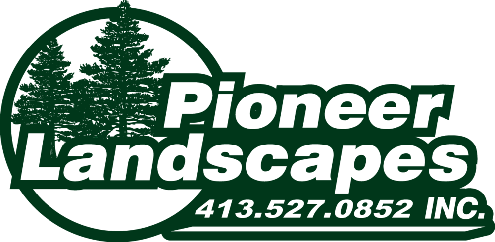 Download Pioneer Logo Green - Green - Full Size PNG Image - PNGkit