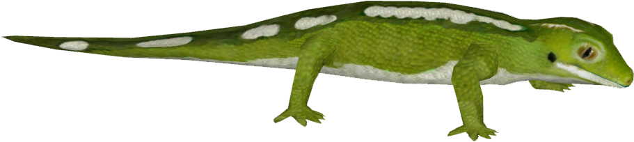 Download Auckland Green Gecko - Carolina Anole - Full Size PNG Image ...