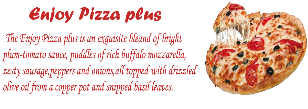 Download Enjoy Pizza Plus - Pizza By The Slice 18"x24" Business Store ...