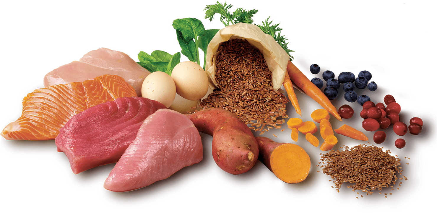 Download The Finest Natural Ingredients For Superior Nutrition ...