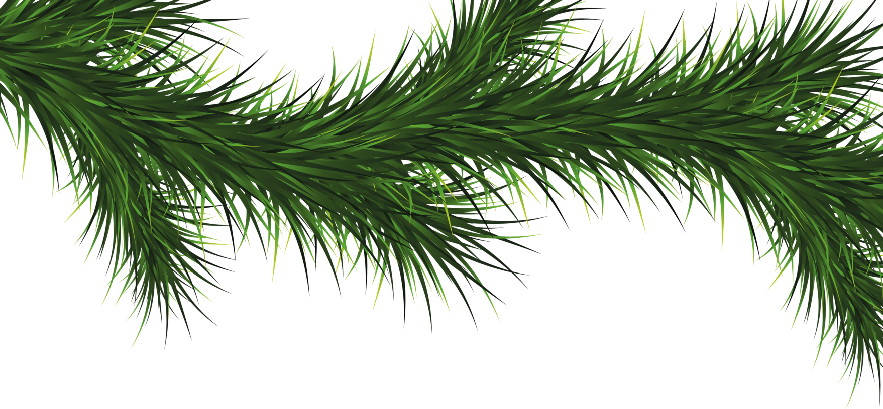 Download Pine Tree Branch Png - Full Size PNG Image - PNGkit