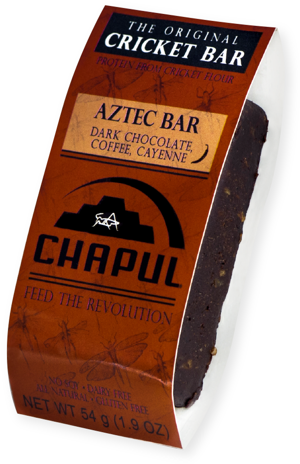 Download Chapul Aztec Bar, Edible Insect, Review - Chapul - Cricket ...
