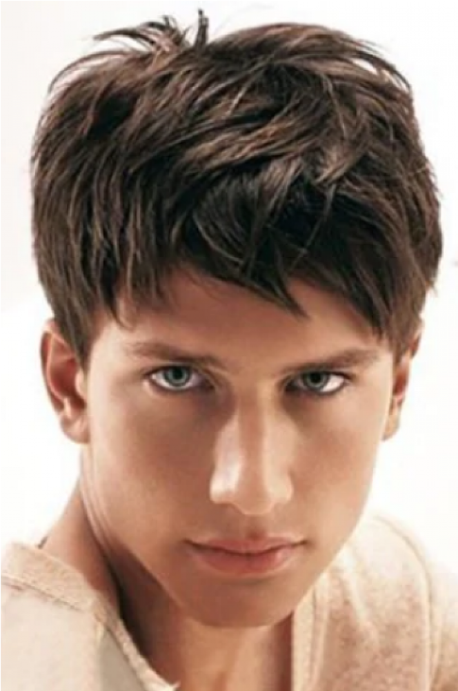 Download Transparent Oblique Bangs Short Hair Wig Mens Wigs Png Mens ...