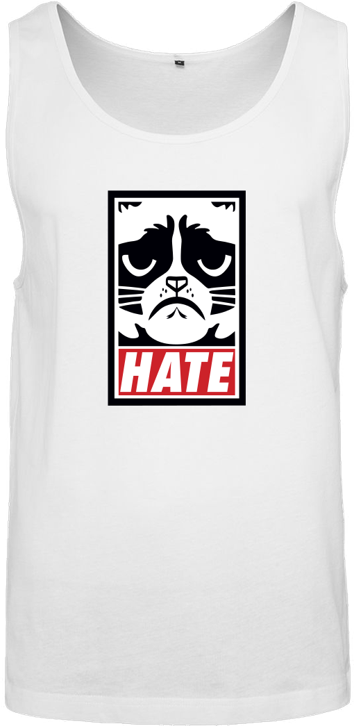 Download 3dsupply Original Grumpy Cat - Full Size PNG Image - PNGkit