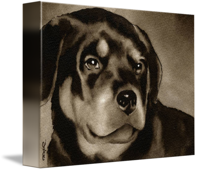 Download Banner Download By David Rogers - Rottweiler - Full Size PNG ...