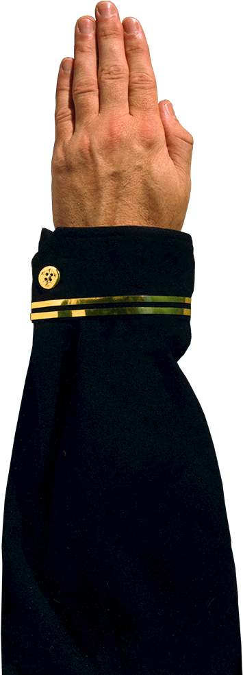 Download Hans - Full Size PNG Image - PNGkit